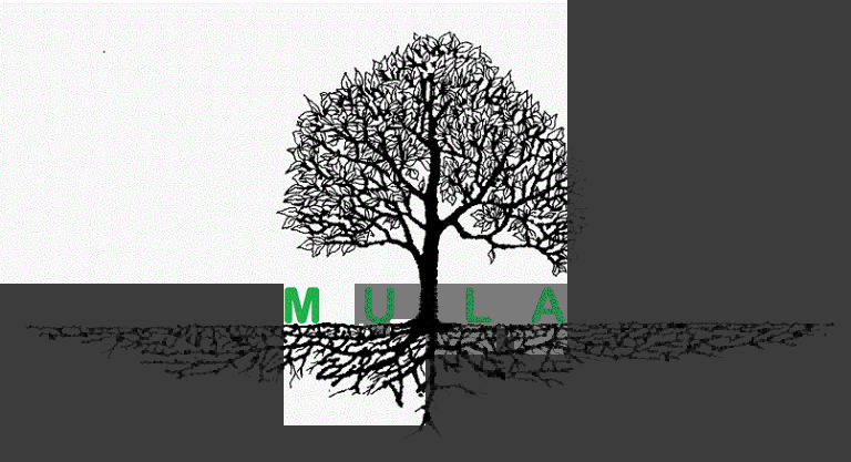 Mula nakshatra occupies 19th position and belongs to the Sagittarius sign.