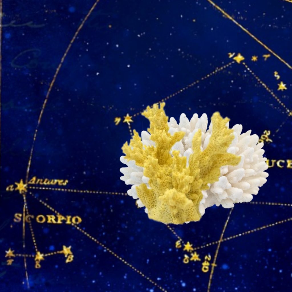 Fifteenth in sequence, the Swati nakshatra falls in zodiac sign of Scorpio