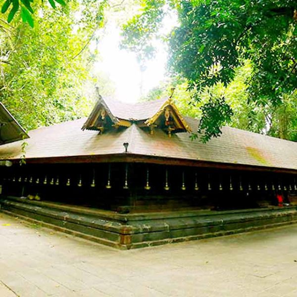 Palani Murugan Temple - Shrine Of The Navapashanam Lingam - Jothishi
