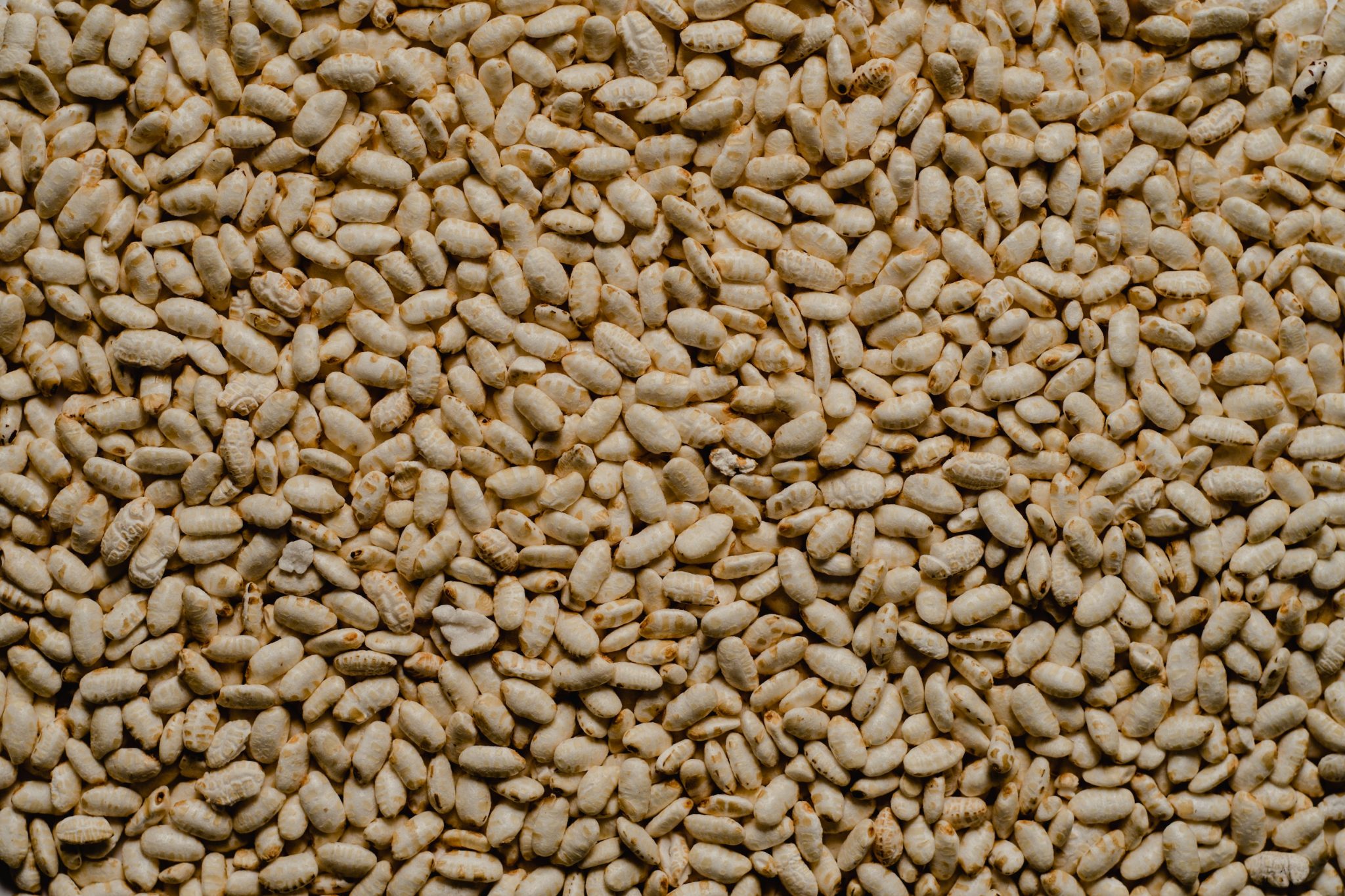 The Traditions and Customs of a Kerala Namboothiri Wedding - Jothishi